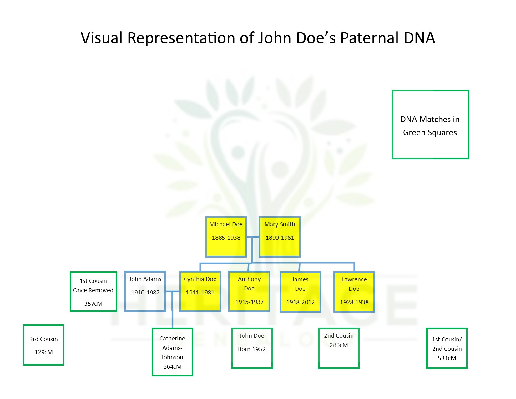 Genetic Genealogy - How Does It Work? - Heritage Genealogy