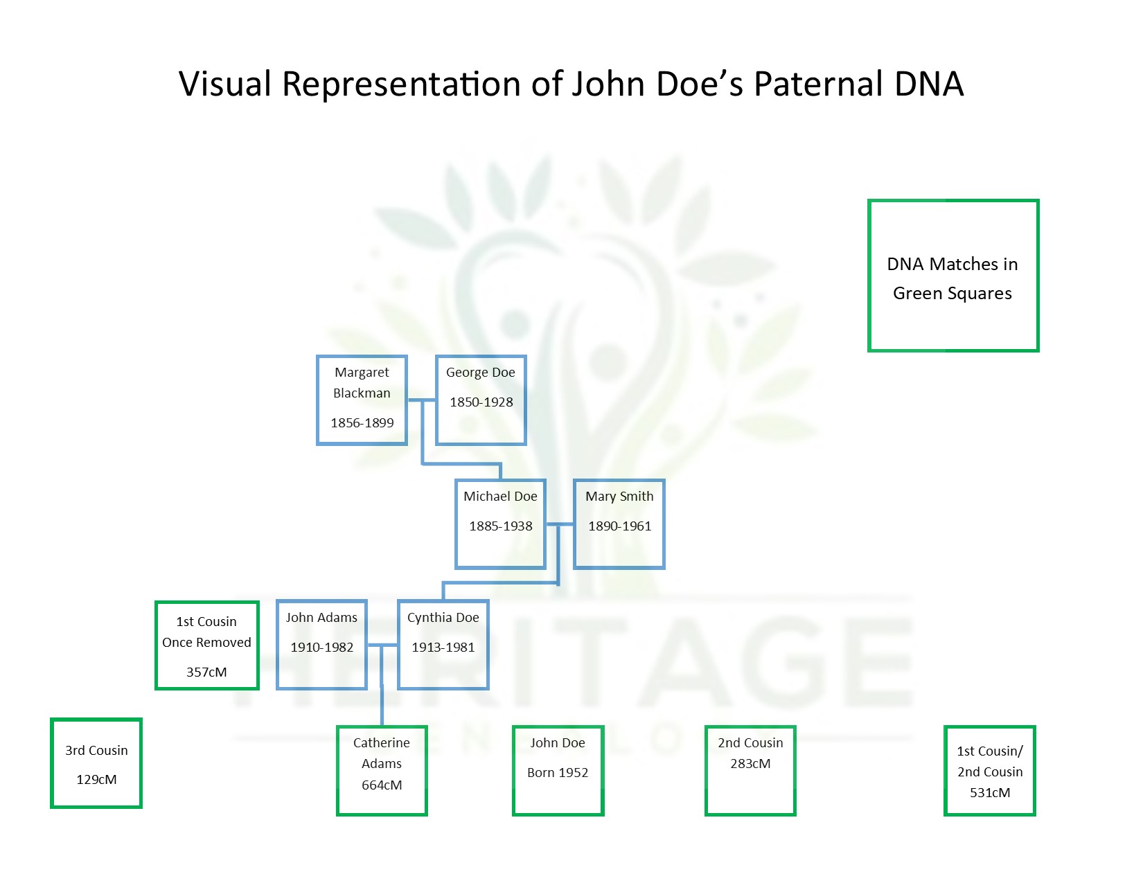 Genetic Genealogy - How Does It Work? - Heritage Genealogy